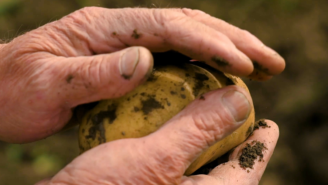 Welcome to Meadows | Meadows