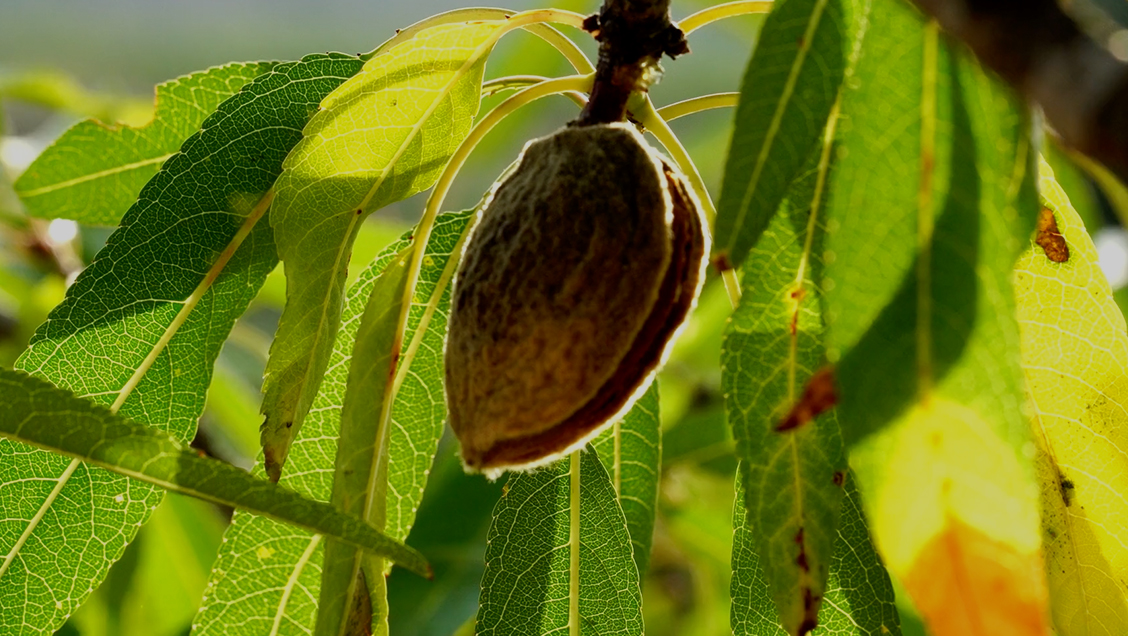 Welcome to Meadows | Meadows